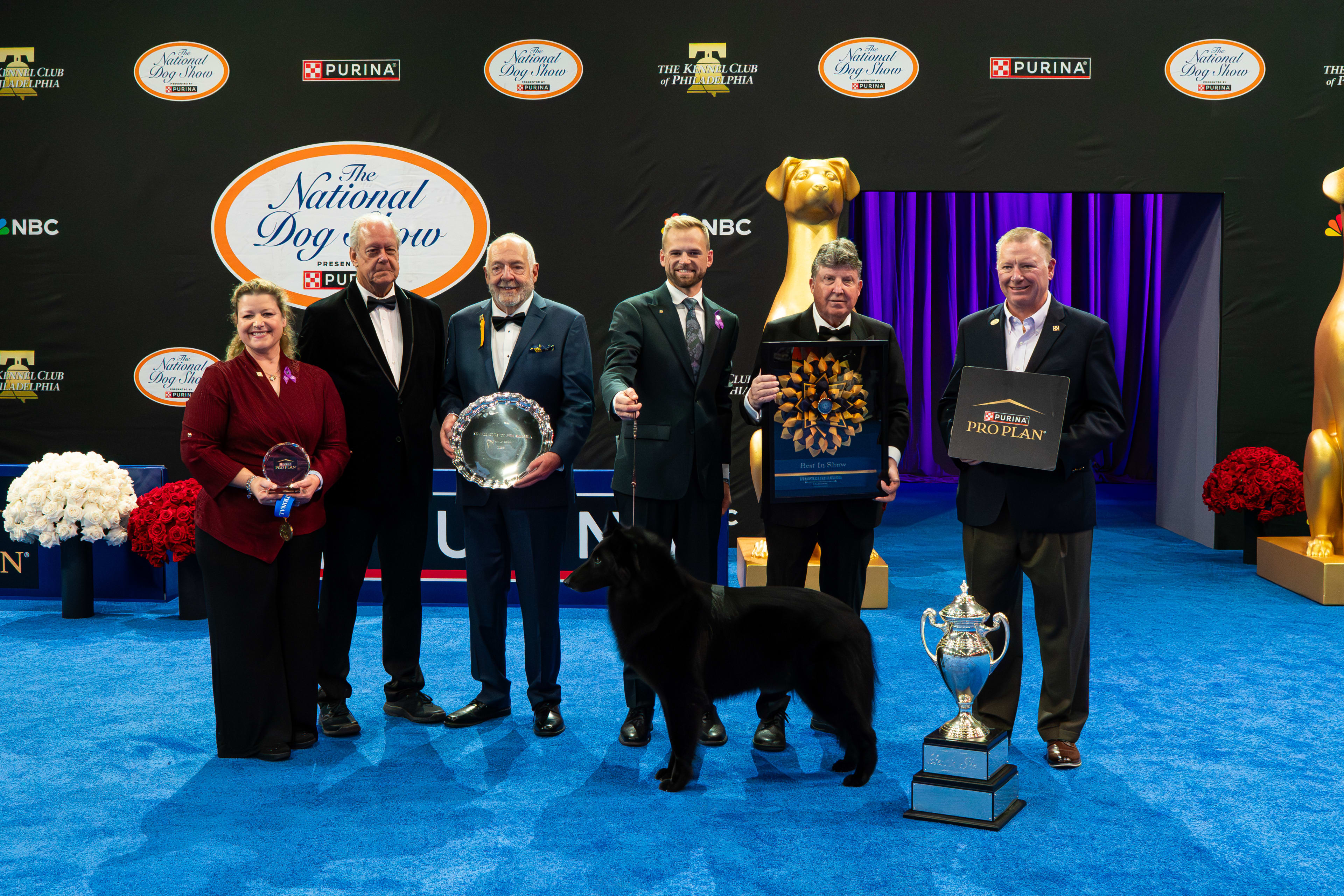 The National Dog Show 2025: Behind the Tail-Wagging Scenes - Parade Pets