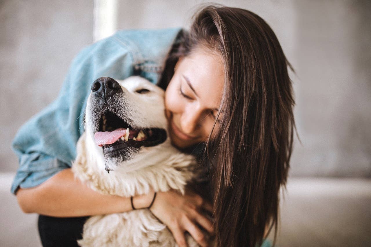9 Funny Things Dogs Do When They’re Happy, Trainer Reveals - Parade Pets