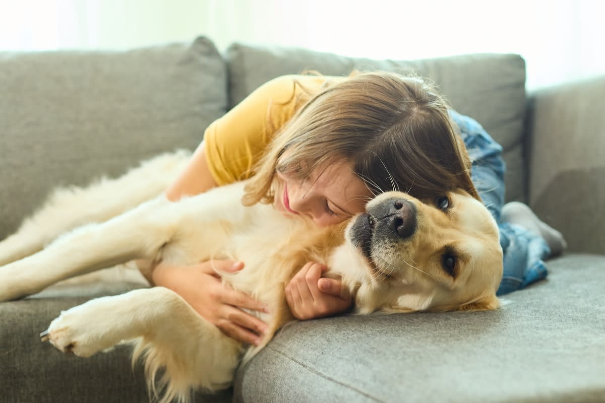 Golden Retriever Hides Stolen Toddler Snack With Impressive Wrestling ...