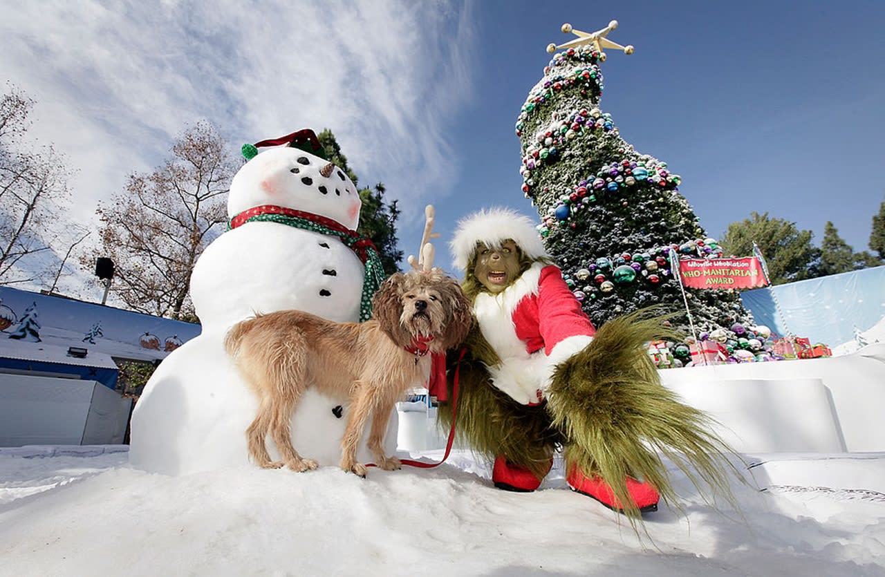 7 Reasons Why Dogs Hate the Holidays, According to Trainers - Parade Pets