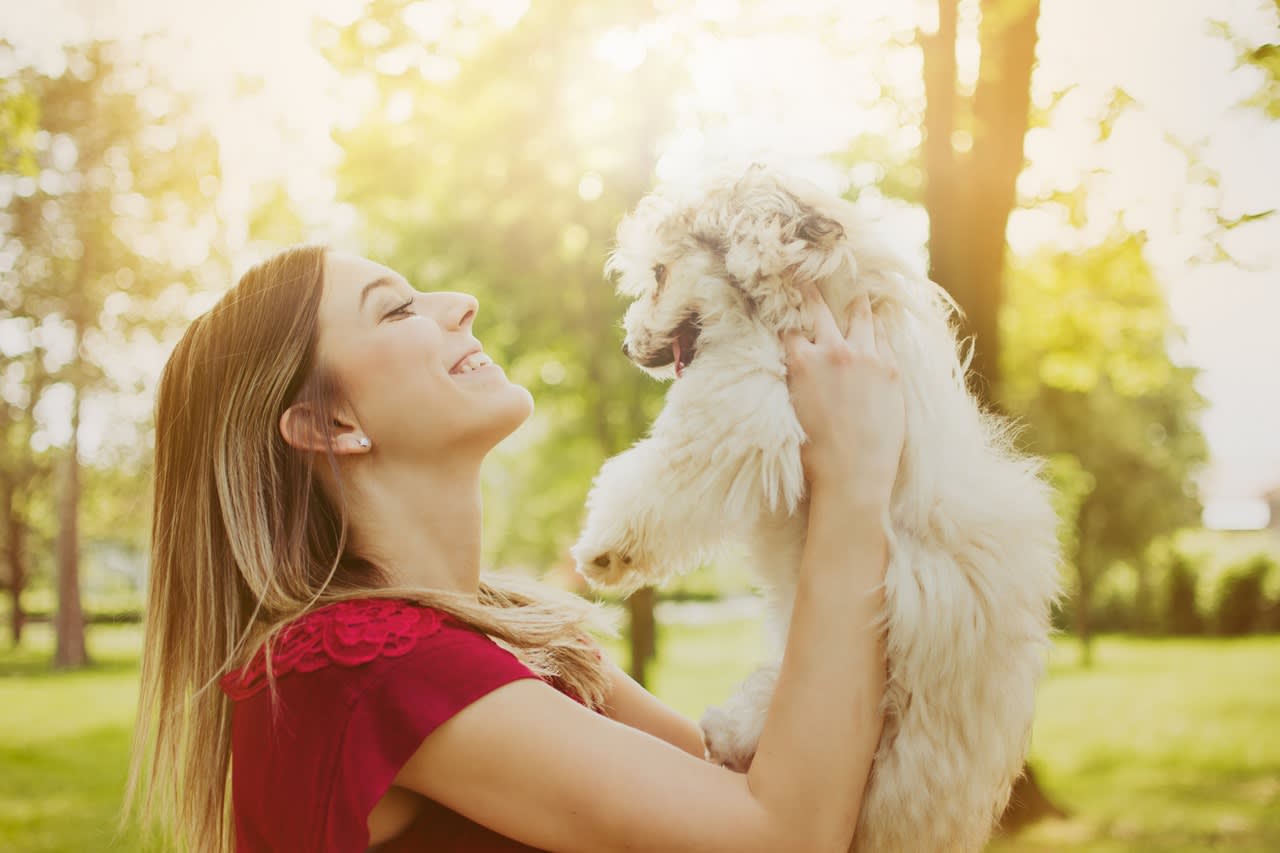 5 Cuddly Dog Breeds That Love to Be Held, Expert Says - Parade Pets