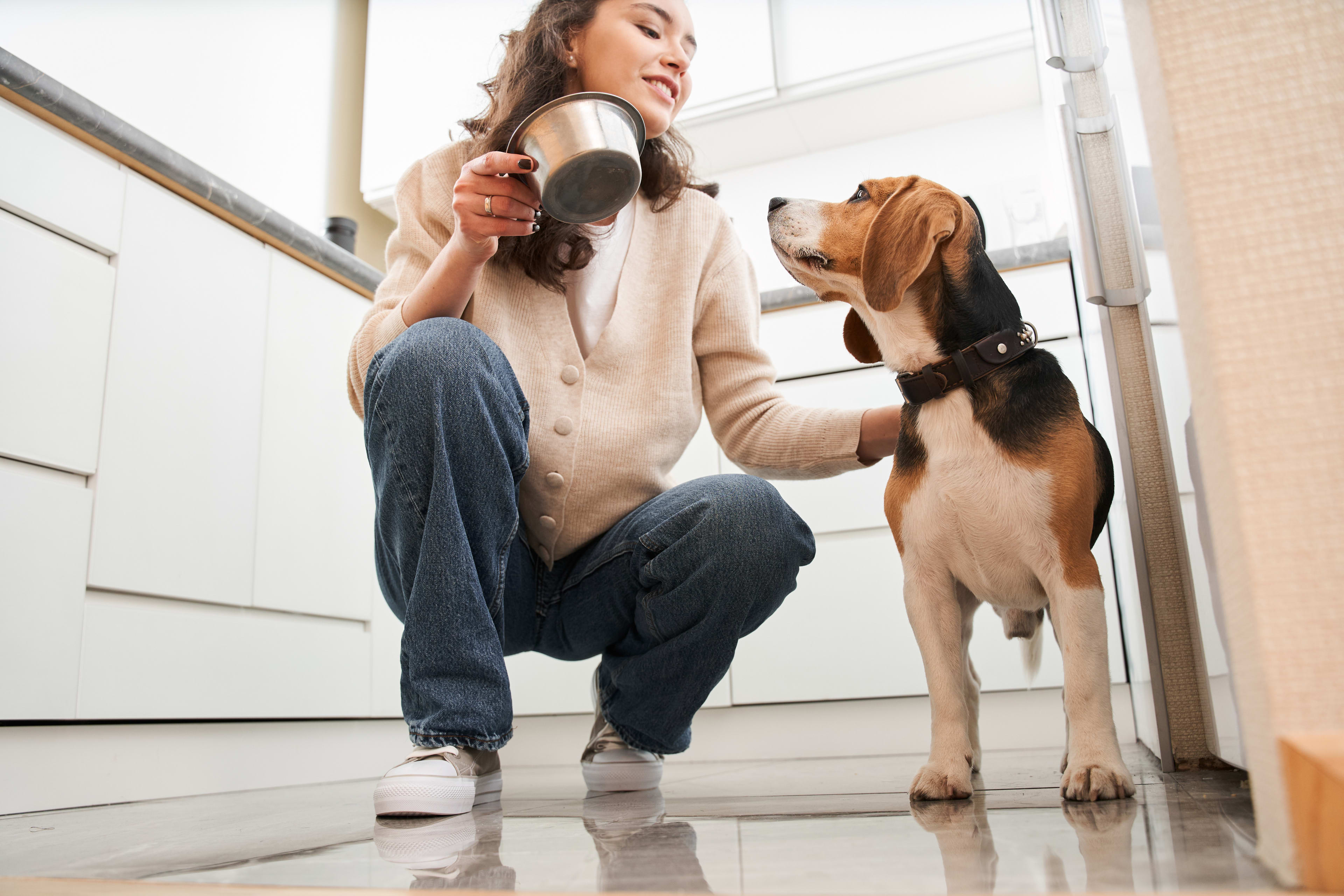 These Are the Top 10 Most Common Pet Toxins of 2025 - Parade Pets