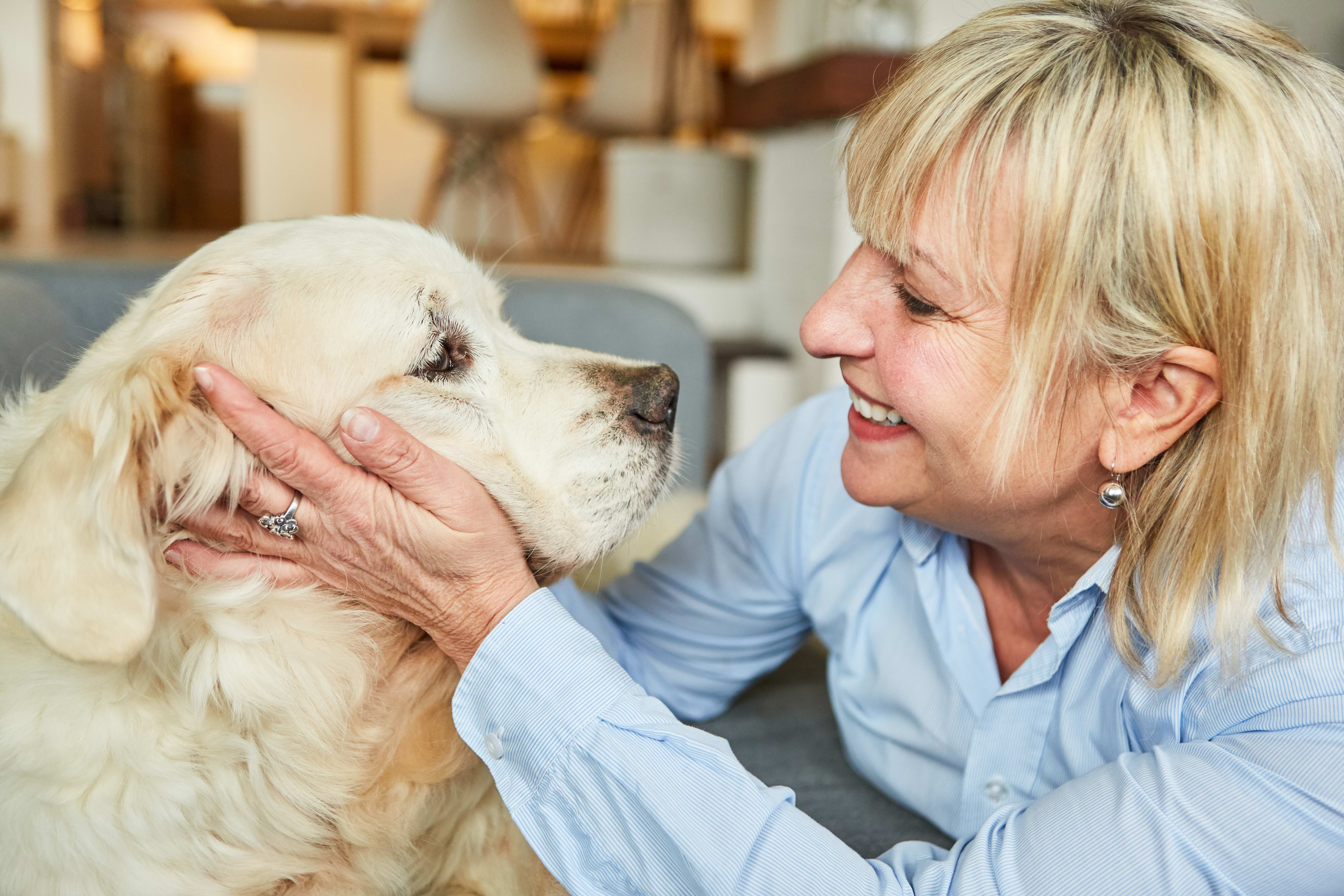 Golden Retriever Waits for Grandma's Kisses Before Dinner - Parade Pets