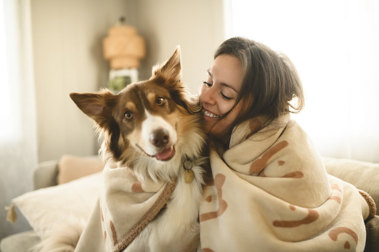 8 Signs You Should Get a Dog, According to a Pet Trainer - Parade Pets