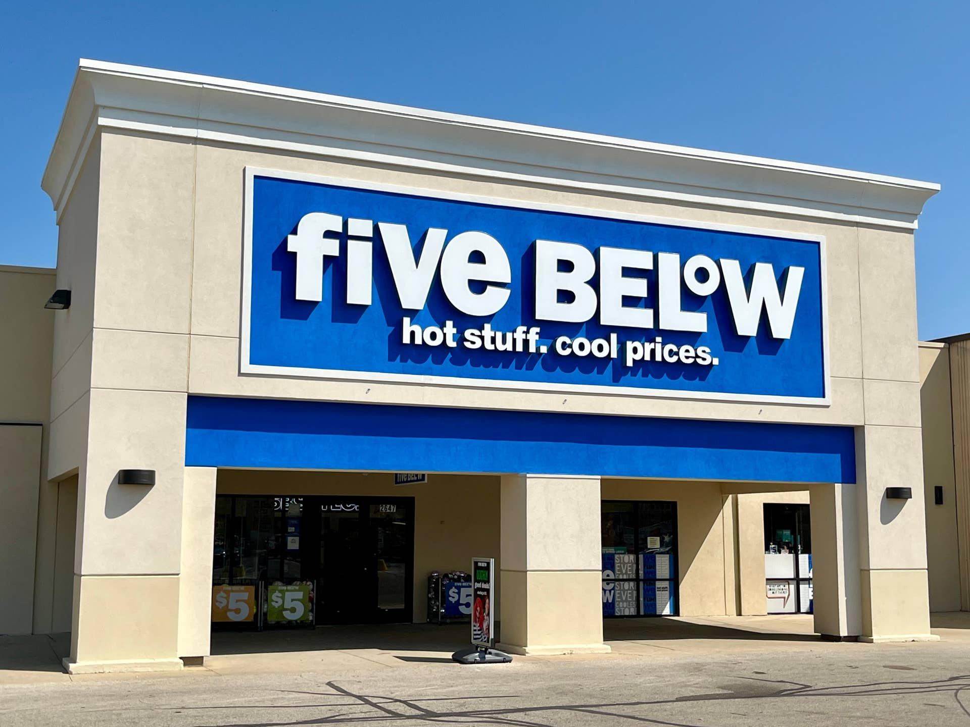 Five Below’s $10 Interactive Cat Find Is a Hit for Game Day - Parade Pets