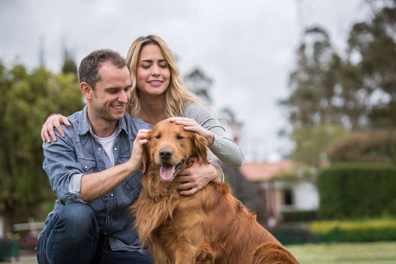 The 7 Most Friendly and Kind Dog Breeds, According to Vets - Parade Pets