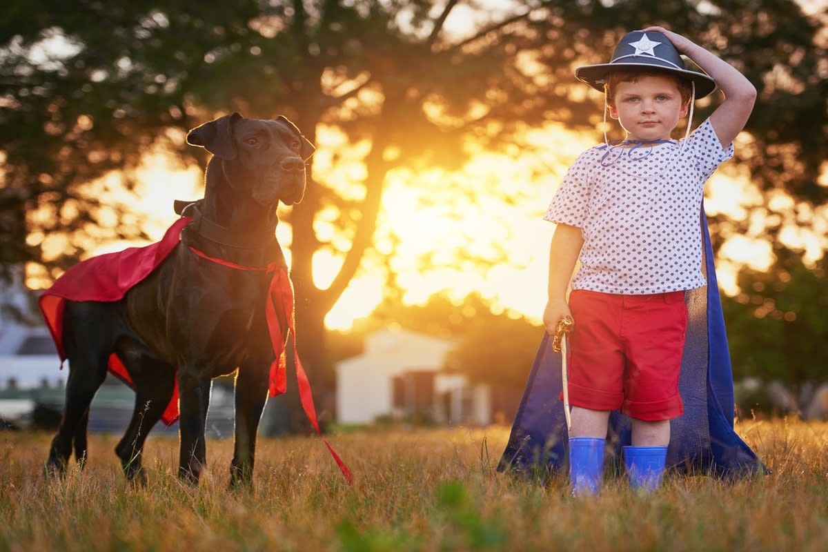 Toddler Has 2 Great Danes as His Personal Nannies and It's Even Cuter ...