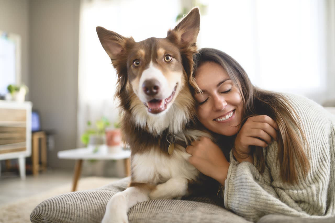 7 Ways Dogs Show Happiness Without Barking, Say Vets - Parade Pets