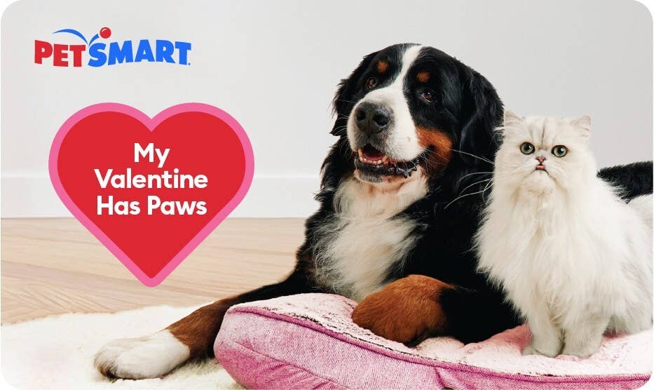 Join PetSmart for a Lovable Free Party on Valentine's Day - Parade Pets